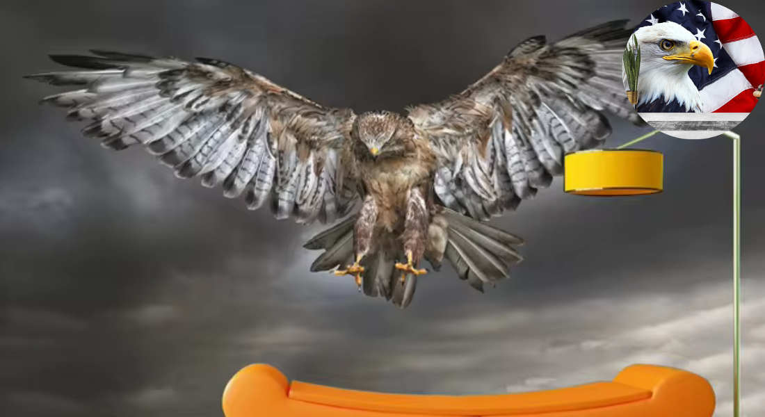 The Ultimate Guide to Eagles Home Decor - home style cafe