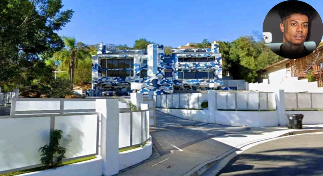 A Step-by-Step Guide to Building a Blue Face Camo House - home style cafe